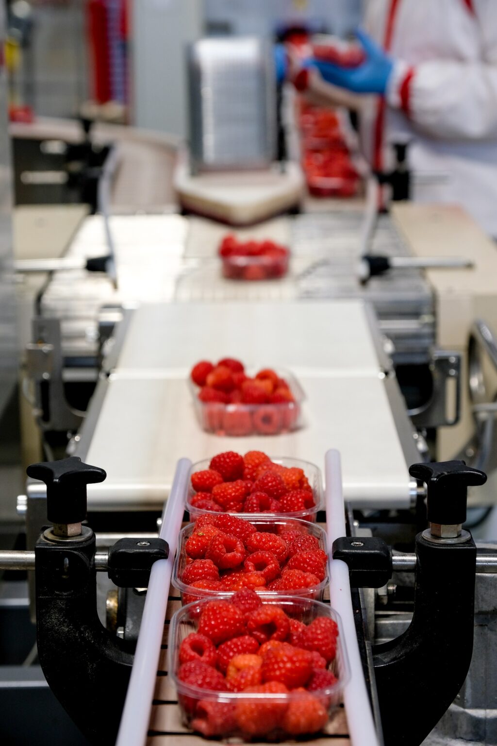 AgileHand Project - AgileHand