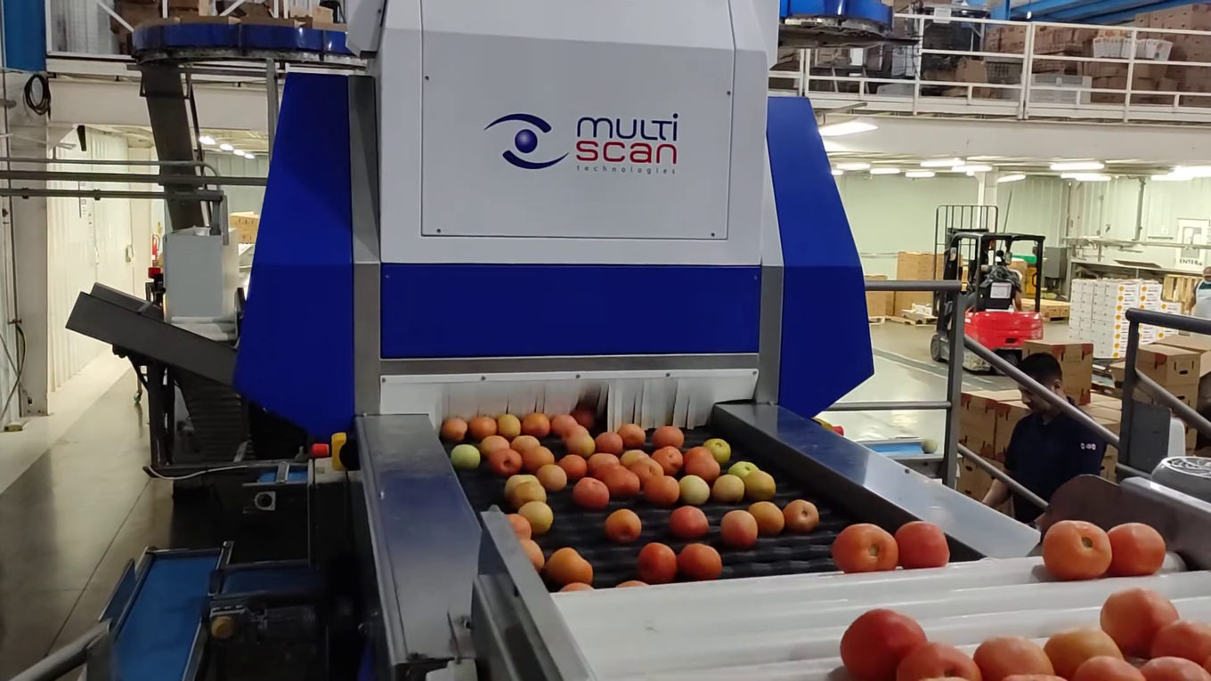 Multiscan - AgileHand