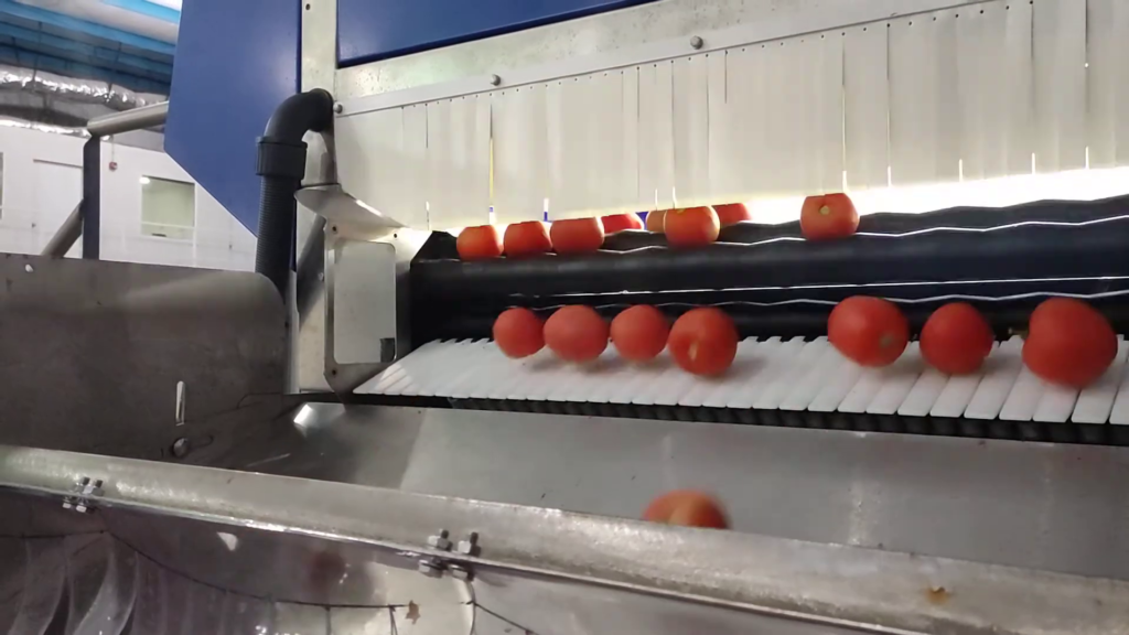 Multiscan - AgileHand